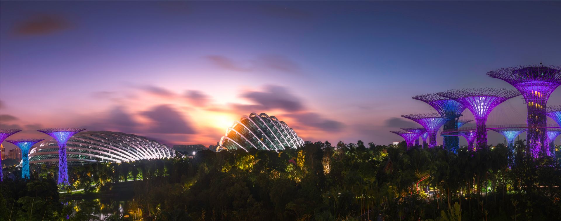 Discover ASR - Our Brands | Discover ASR | English