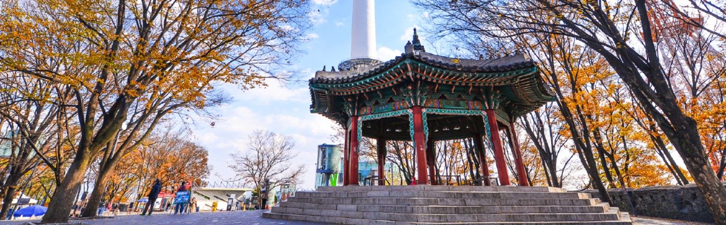 tours and experiences | Discover ASR | English