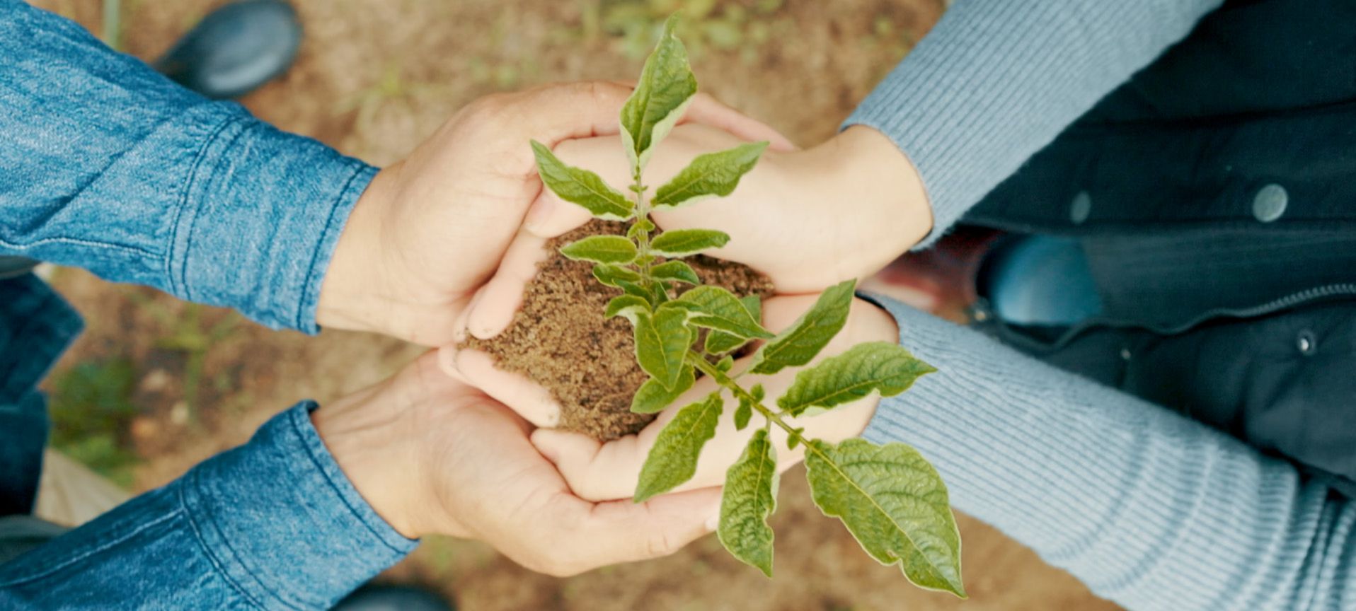 Environment | Discover ASR | English