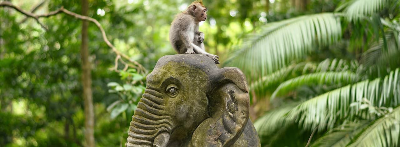 Pahatan Batu Ikonik dan Spot Foto Cantik di Big Garden Corner