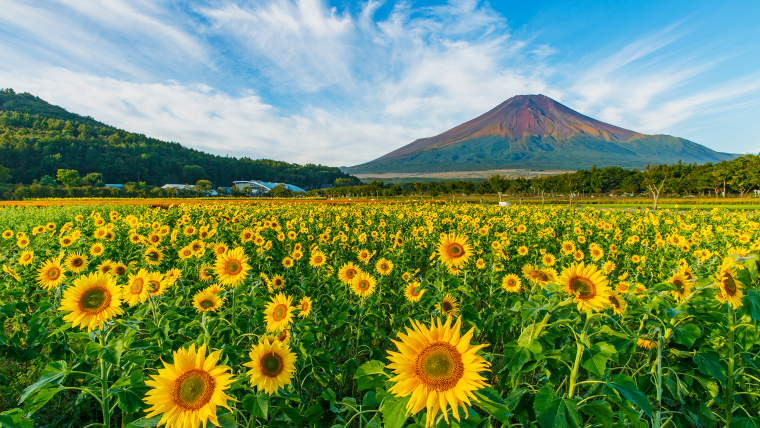 Welcome | Discover ASR | English