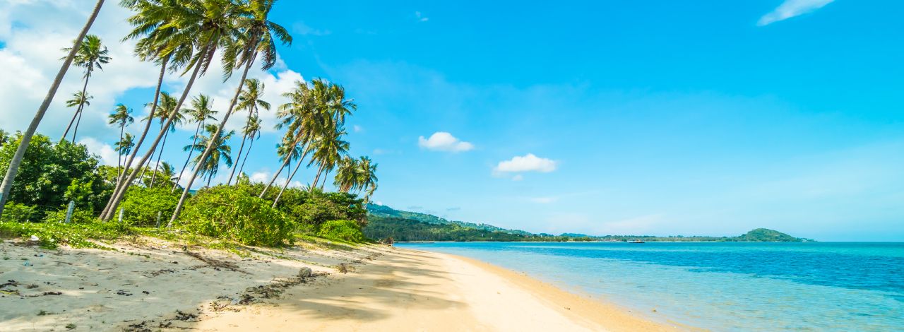 Rayong | Discover ASR | English