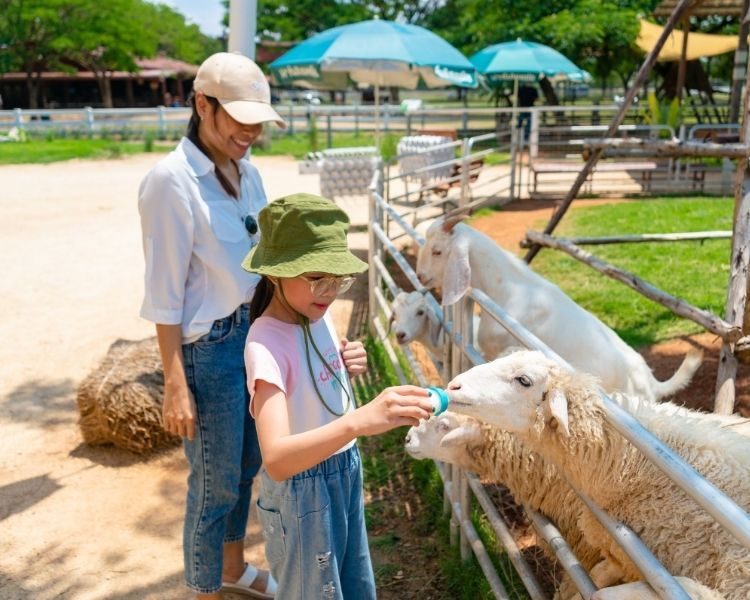 Sri Racha | Discover ASR | English