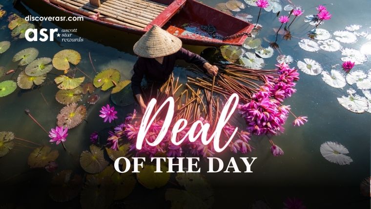 Serviced Apartments & Hotels | Discover ASR | The Ascott Limited ...